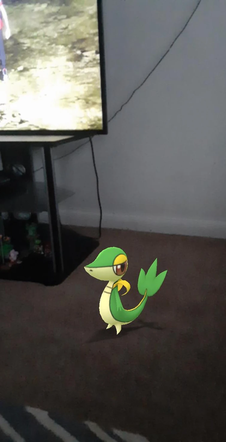 Snivy Is Real [NOT CLICKBAIT] | Fandom