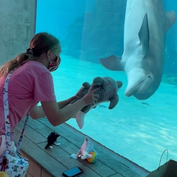 Few Updates | Fandom