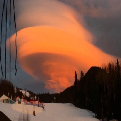 SCP-8883 OBJECT CLASS APOLLYON | Fandom