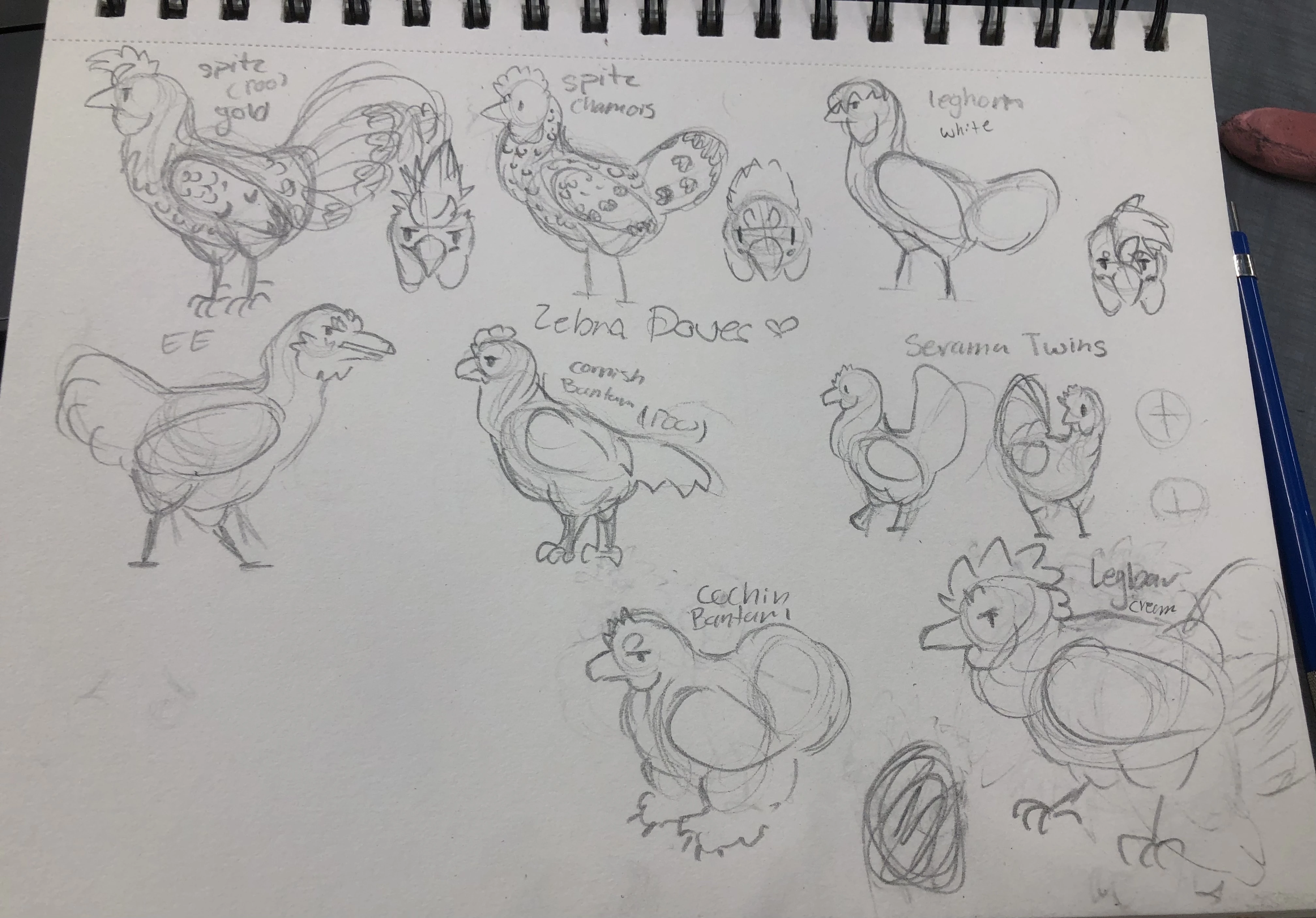 hehe chicken doodles | Fandom