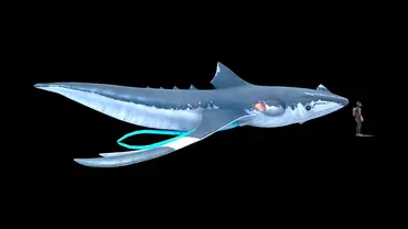 Discuss Everything About Subnautica Wiki | Fandom