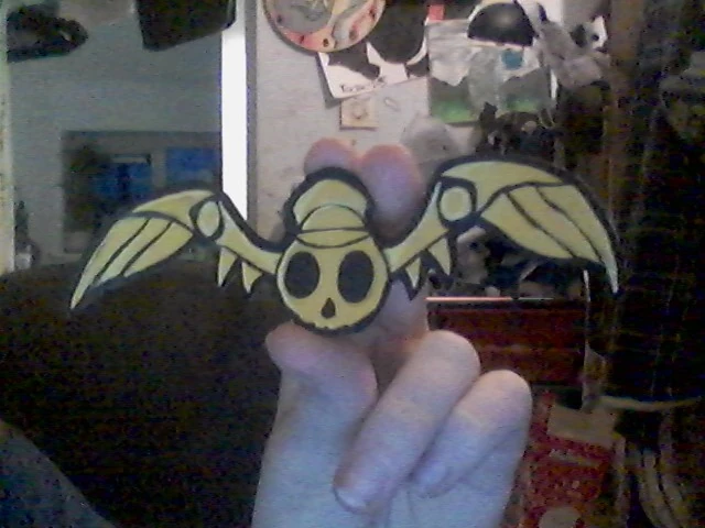 N's pilot hat badge thing? | Fandom