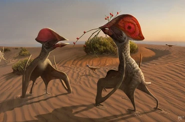 Discuss Everything About Dinopedia | Fandom