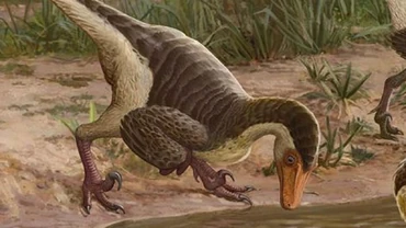 Discuss Everything About Dinopedia | Fandom