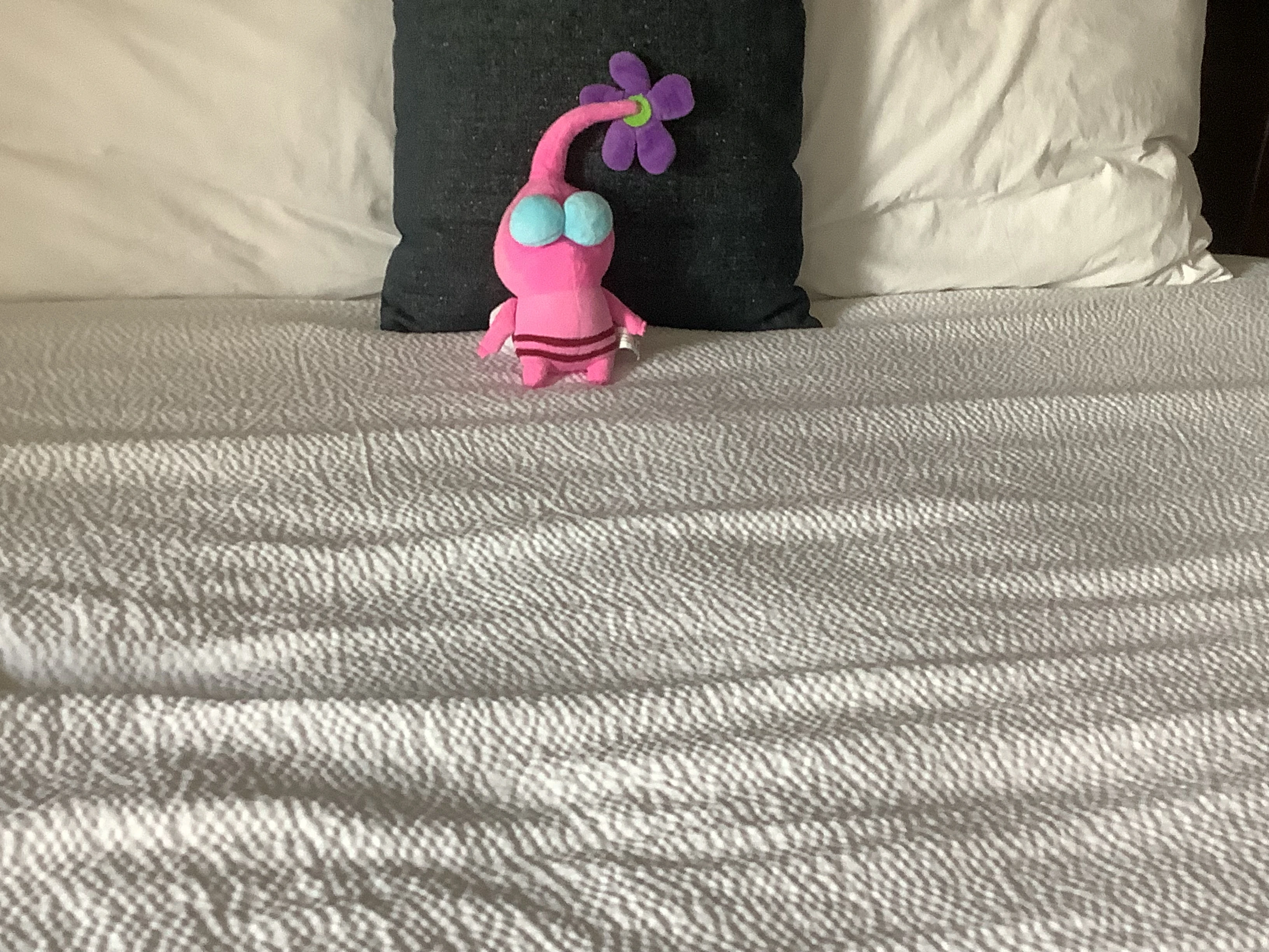 I left my bootleg Winged Pikmin plush at the hotel by accident :( | Fandom