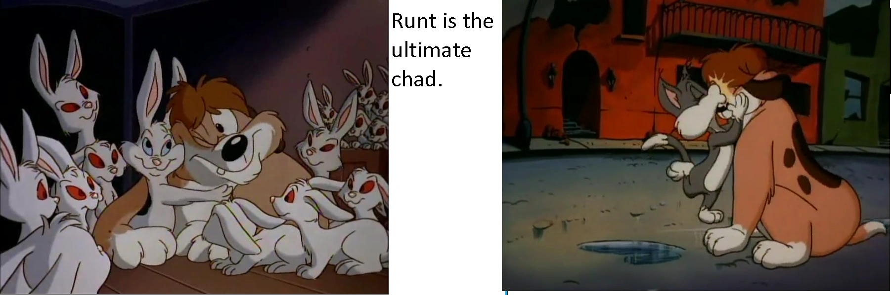 Runt, the OG chad | Fandom