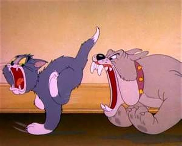 The Tom and Jerry experience | Fandom