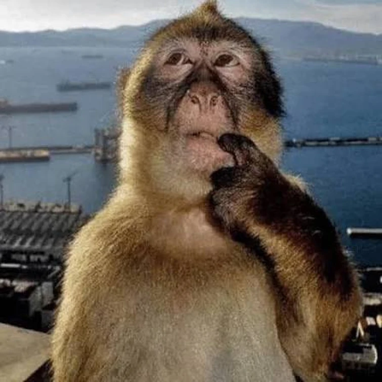 what happens when you remove a rock or tree from light island | Fandom