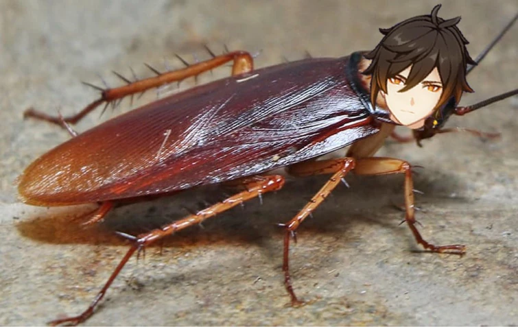 did u know that zhongli has the same color palette as a cockroach? | Fandom