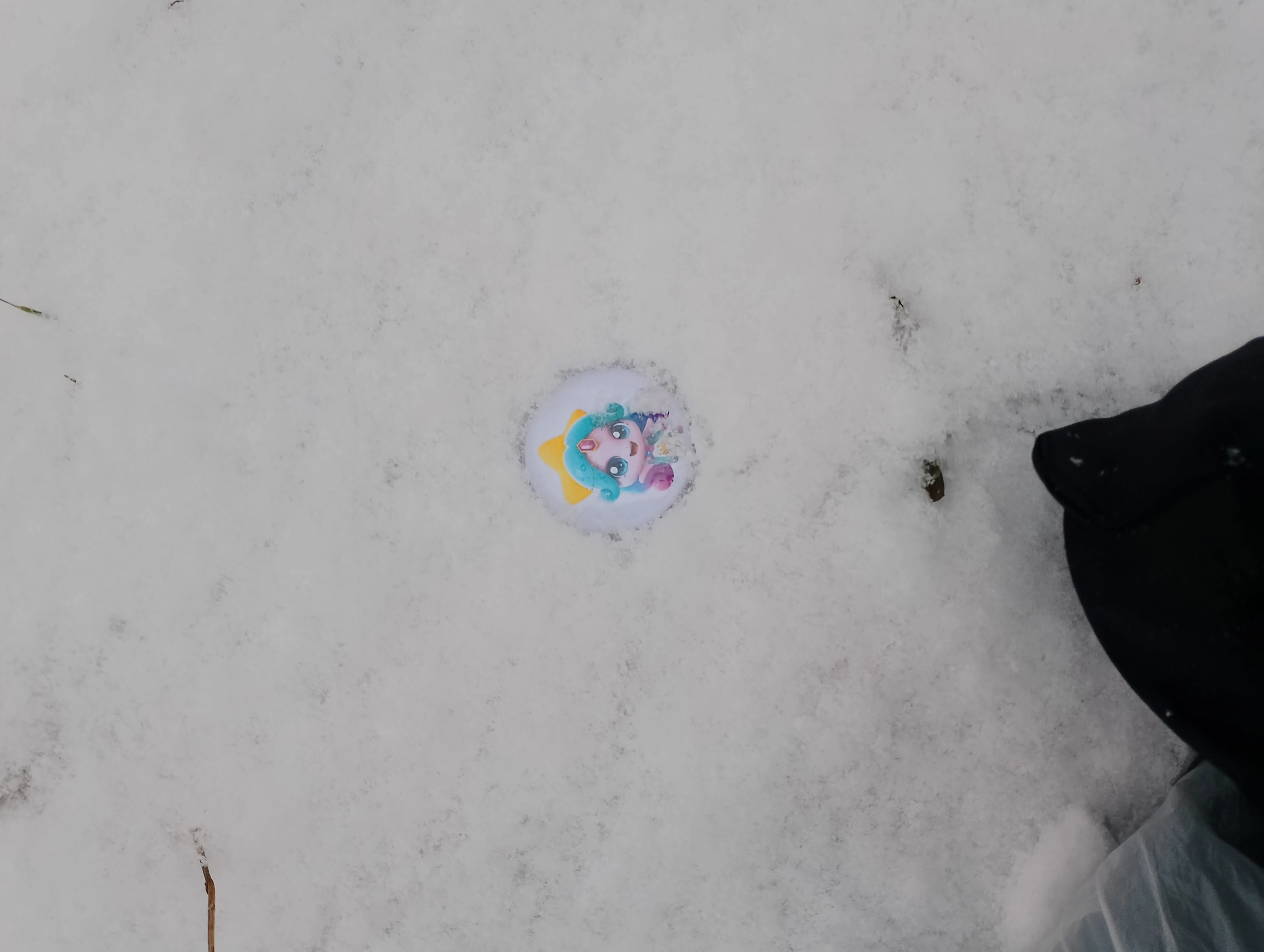 Sparkleping in the snow | Fandom