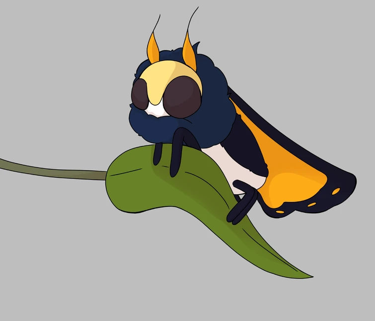 Drew Mothigan from Just Dance as a moth | Fandom