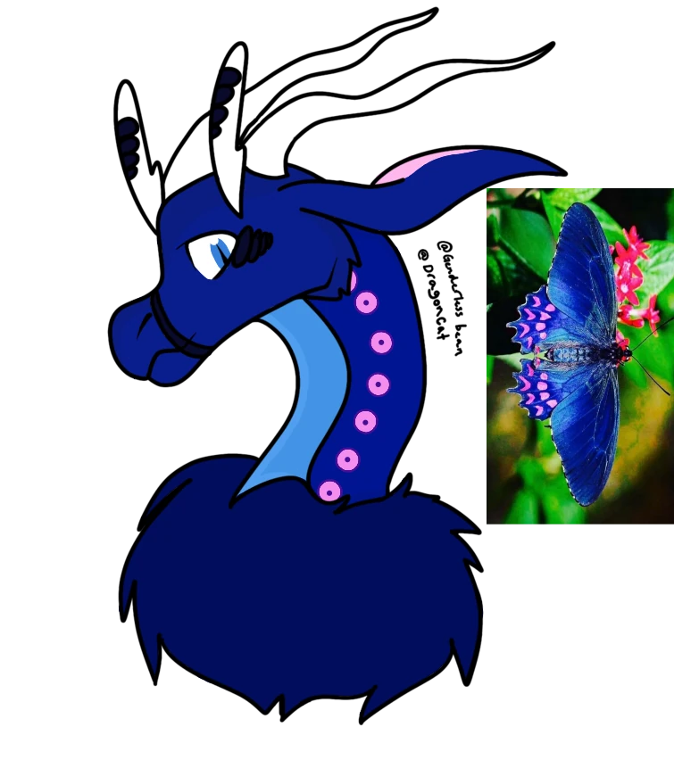 Basefilling ONE Fluffy Silkwing in Dragoncat61's base | Fandom