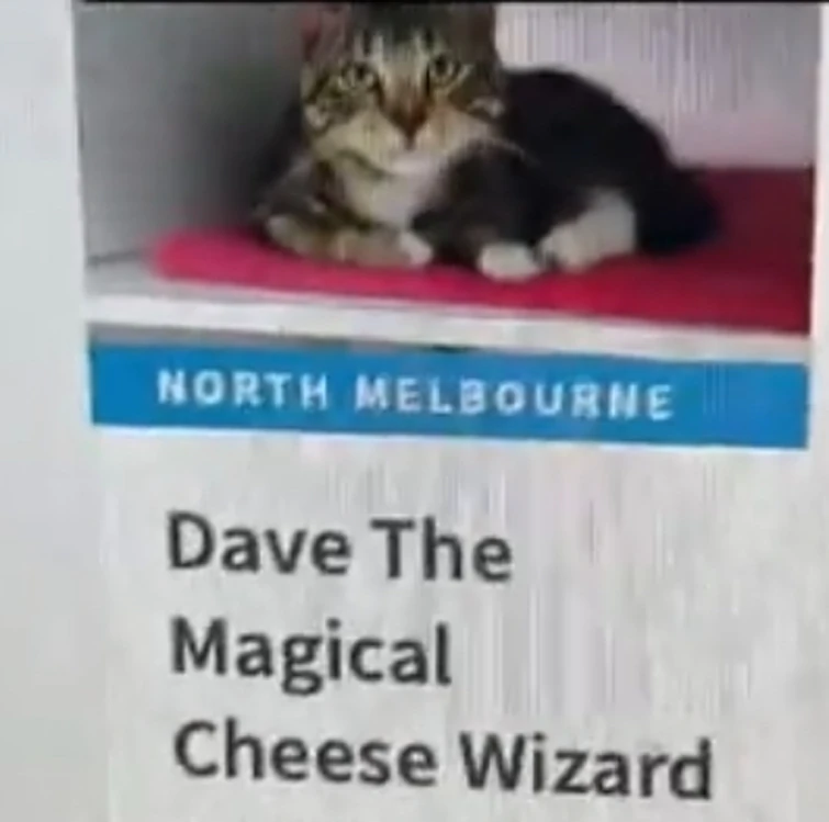 SEND ME SUGGESTIONS :3 | Fandom