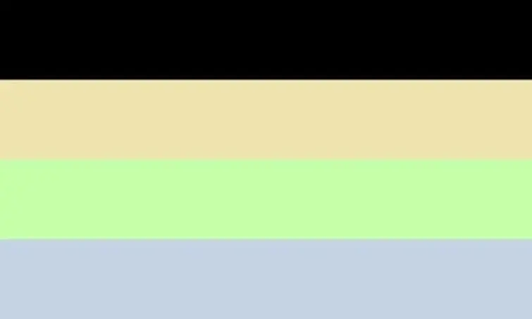 i made a new cassgender flag bc the existing one does not look great ...