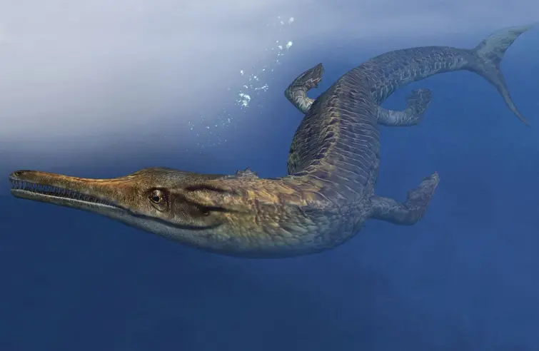 Marine Reptiles | Fandom