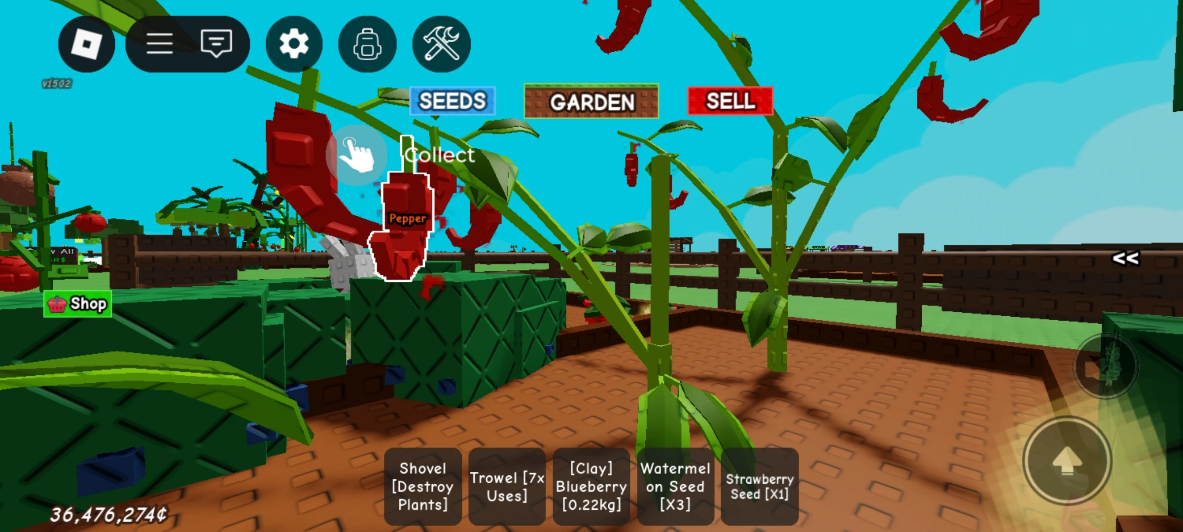 Smallest Pepper vine? | Fandom