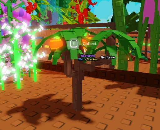 is nectarine supposed to be this small? 😭 | Fandom