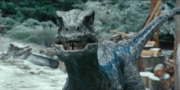 Blue VS The Big One, who win? | Fandom