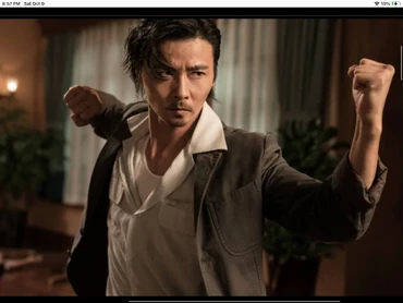 Discuss Everything About Ip Man Wiki | Fandom