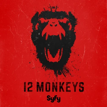 12 wise monkeys