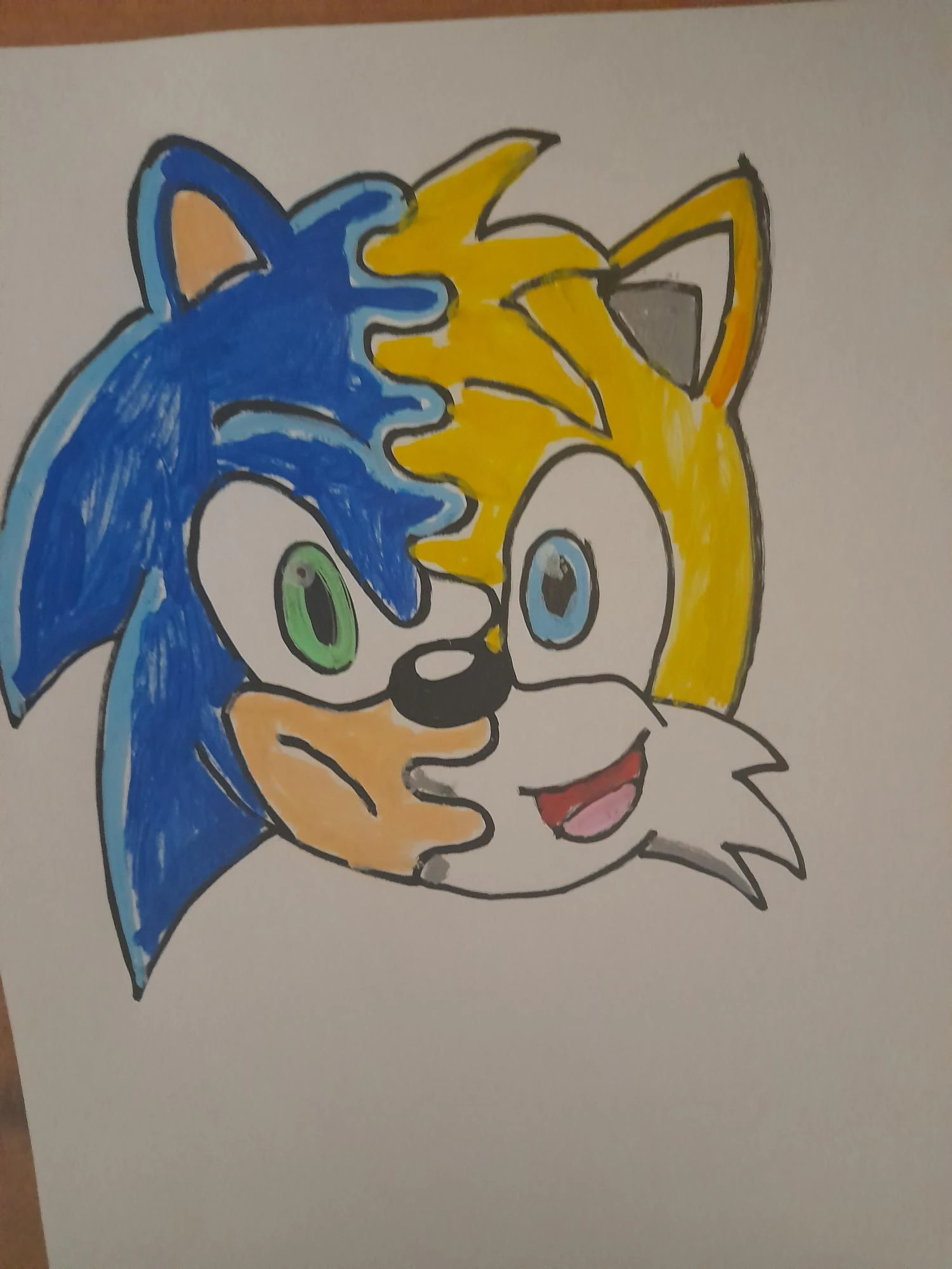 My Posca pen drawing of Sonic and Tails | Fandom