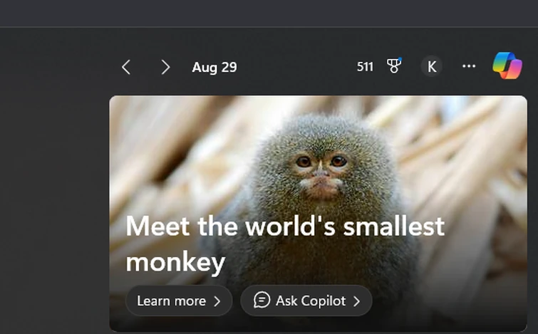 meet the worlds smallest monkey | Fandom