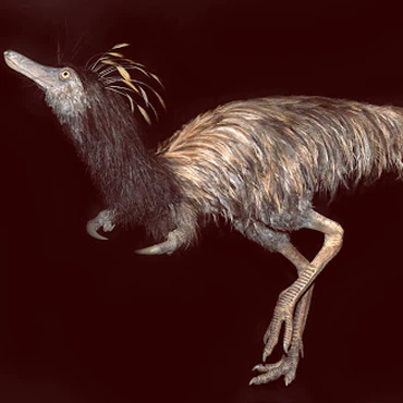 Discuss Everything About Dinopedia | Fandom