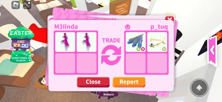 Tolil strikes again | Fandom