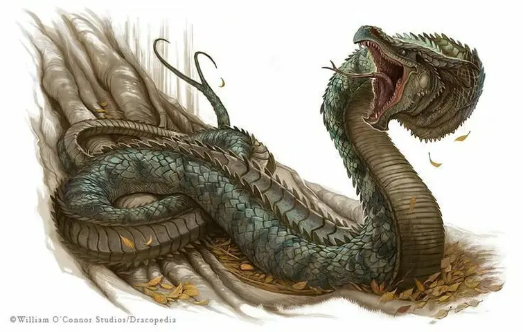 “Why is Applin a dragon type???” | Fandom