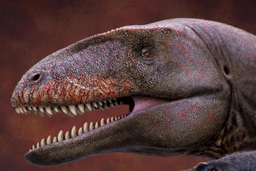 Discuss Everything About Dinopedia | Fandom
