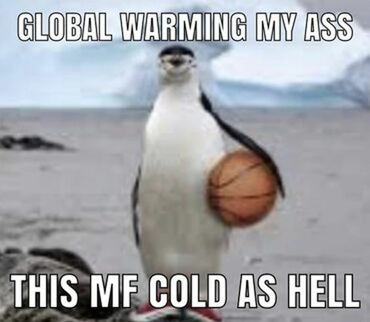 brooooooooooo | Fandom