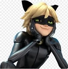 Cat noir | Fandom