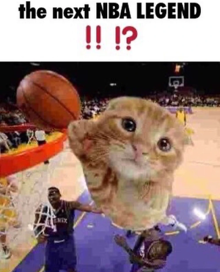 lets debate if this cat will be the next nba legend or not | Fandom