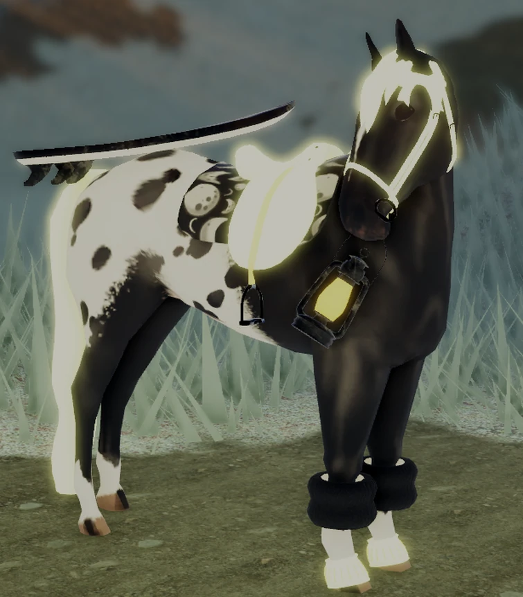 Unfinished tack set- | Fandom