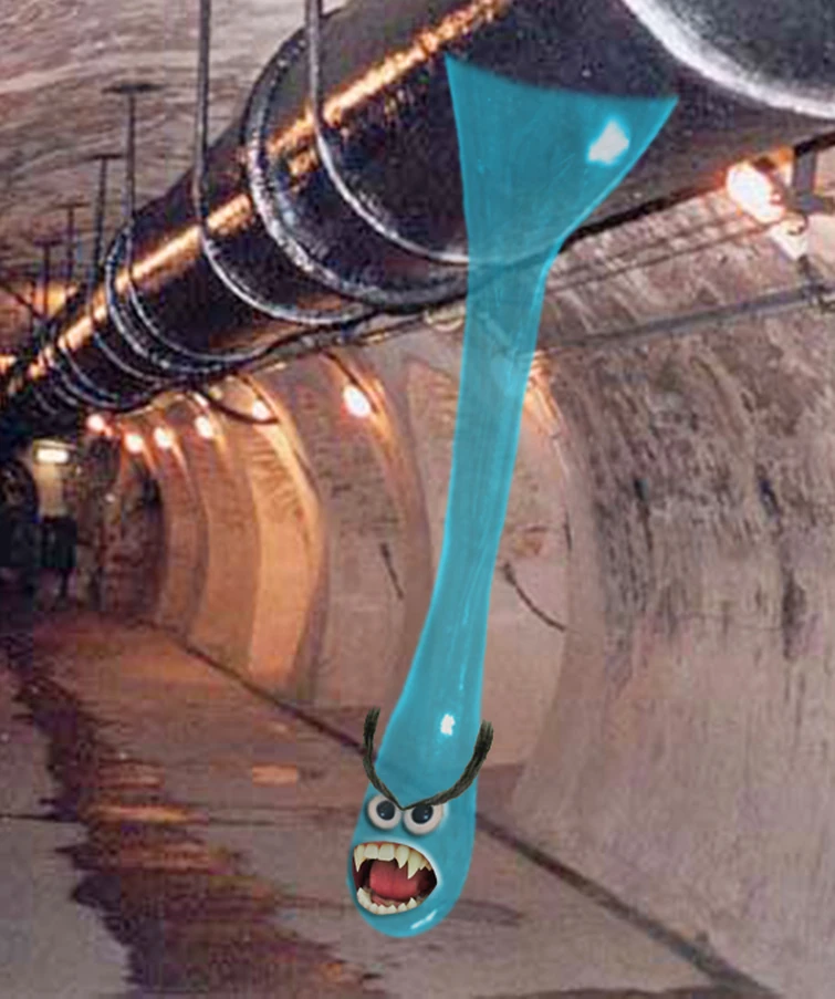 Mario characters/creatures IRL | Fandom