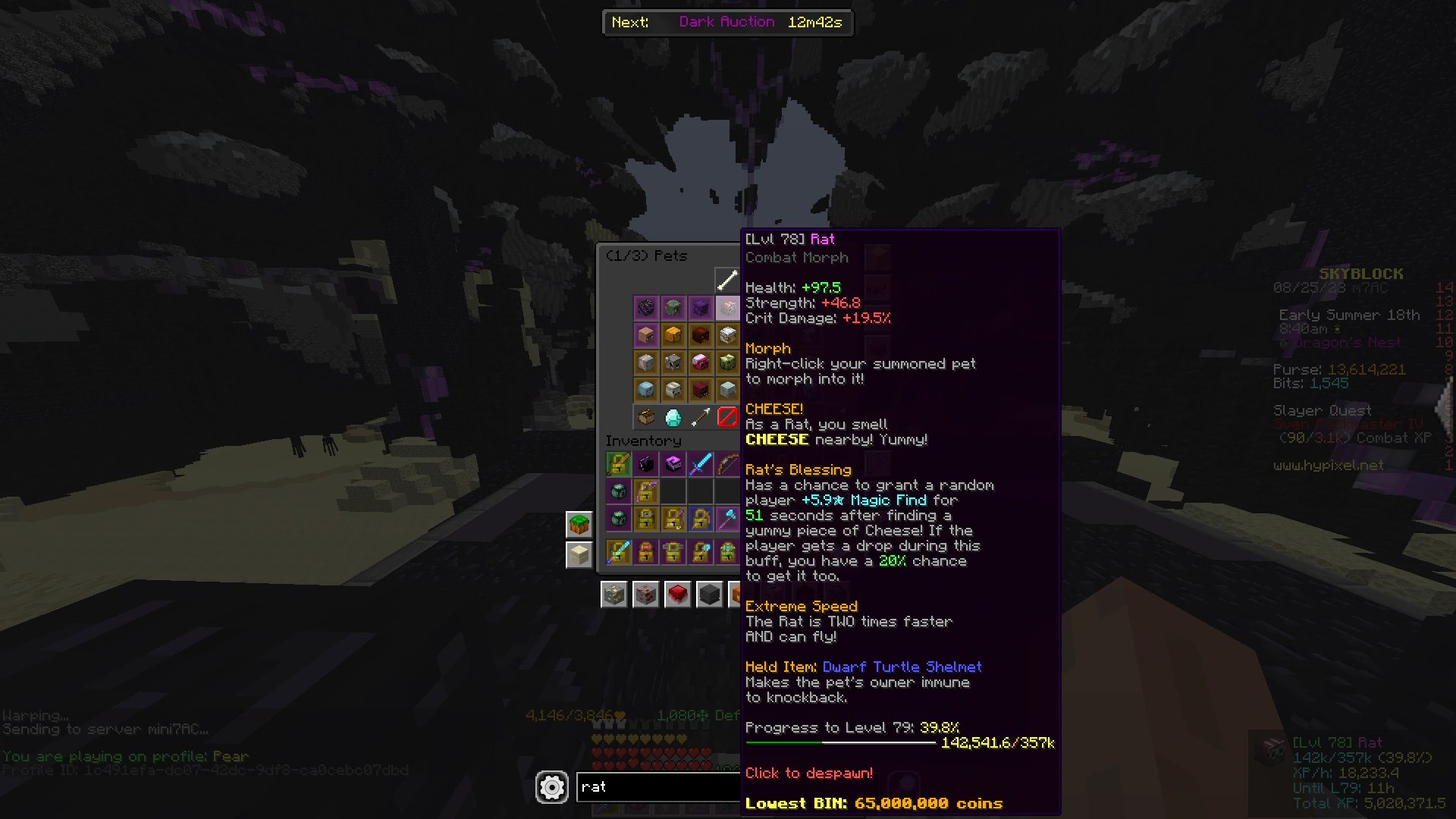 Mythic rat pet got buffed | Fandom