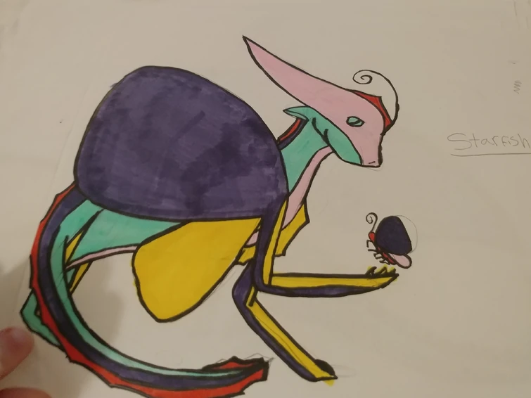 Did a full redesign for my OC Starfish! | Fandom