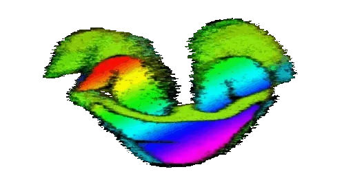 C-BLONGO OF THE CONGO RIVER THATS BEEN DELIBERATELY CONGOED INTO THE ...