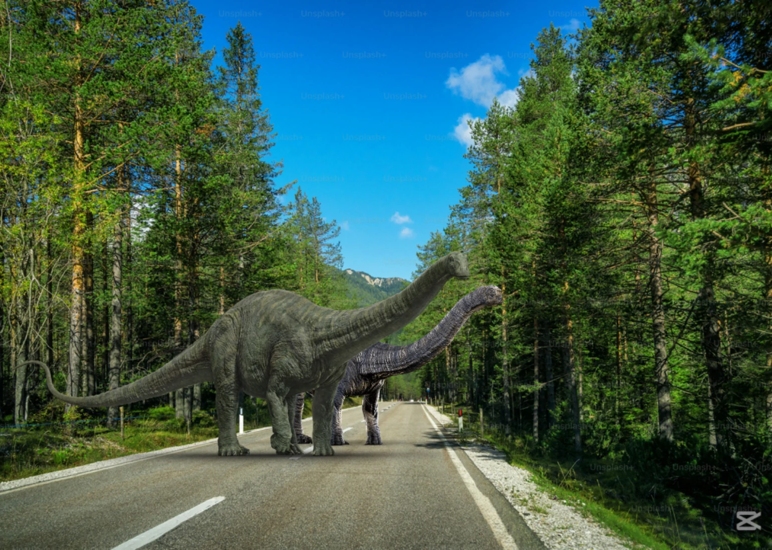 Dinosaur sighting | Fandom