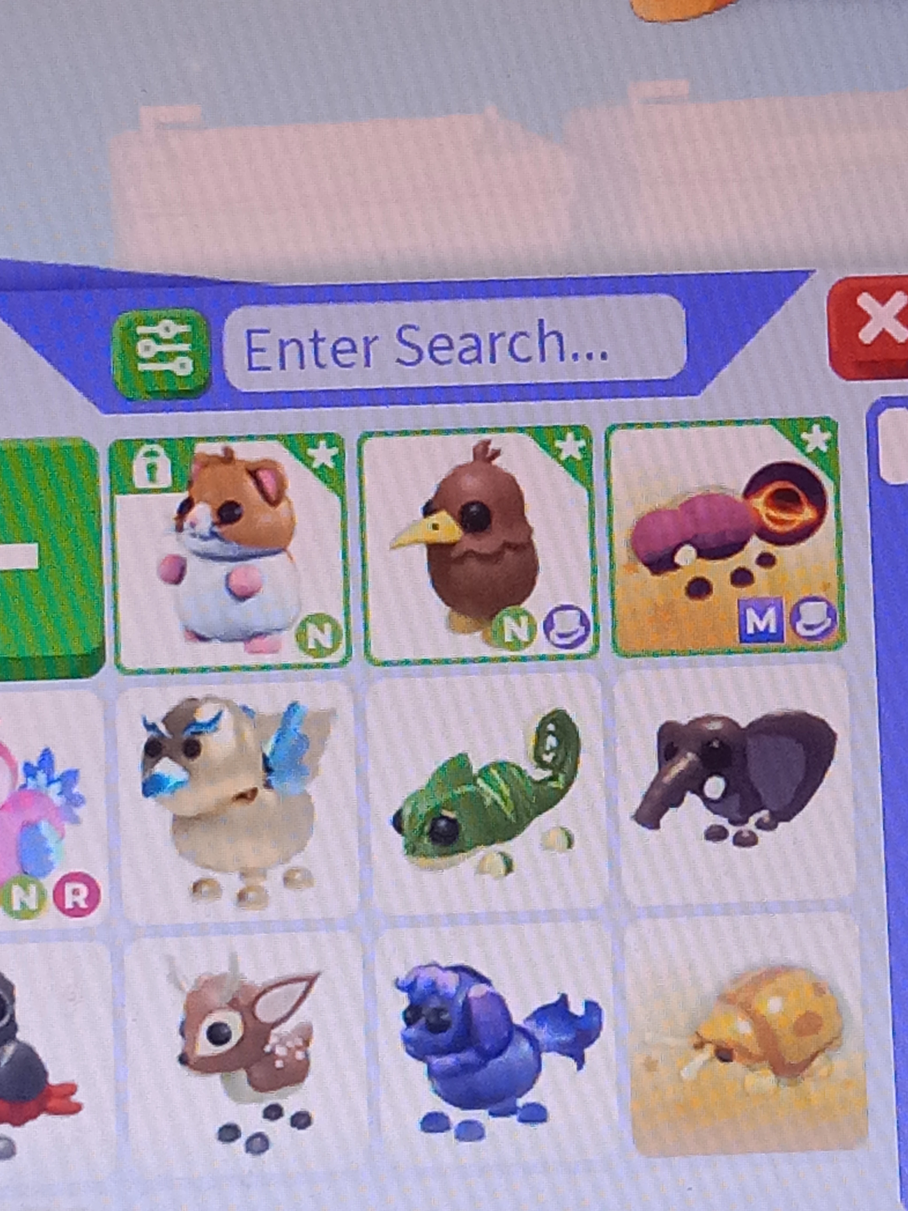 doesn't this mean I have 3 pets equipped :( | Fandom