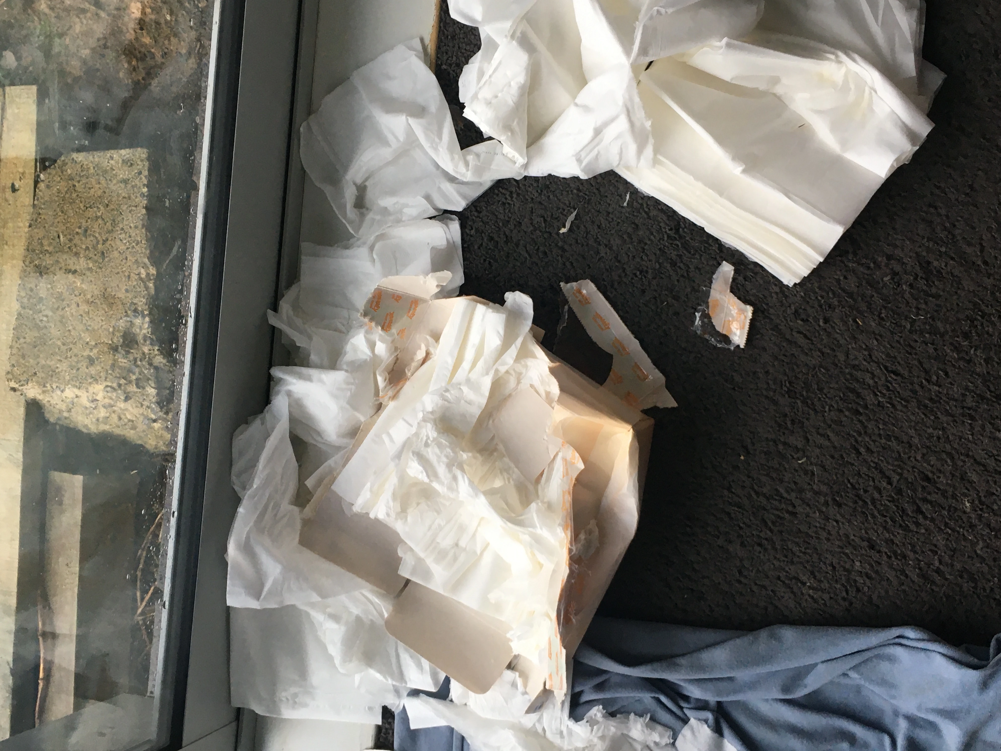 So I woke up this morning and apparently some has woken Ted up | Fandom