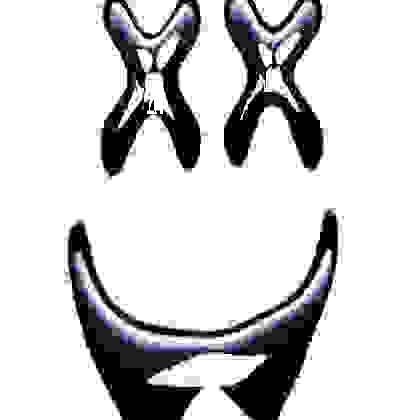 new th section entity | Fandom