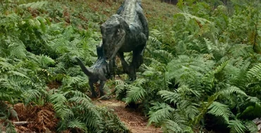 Happy National Velociraptor Awareness Day! What is your favorite ...