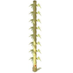 Holy Bamboo | 129Dofus Wiki | Fandom