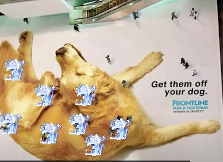 Get them off your dog | Fandom