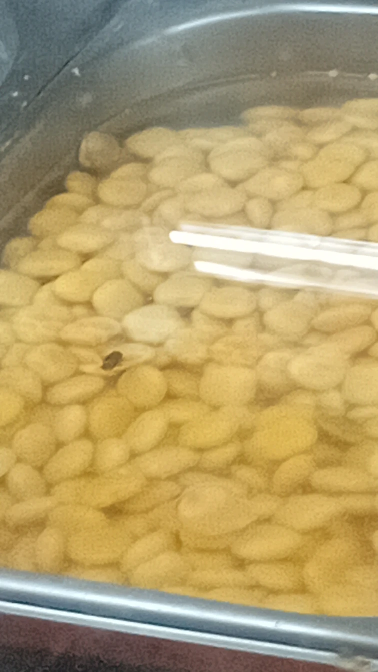 PLEASE CHAT I NEED THIS | Fandom