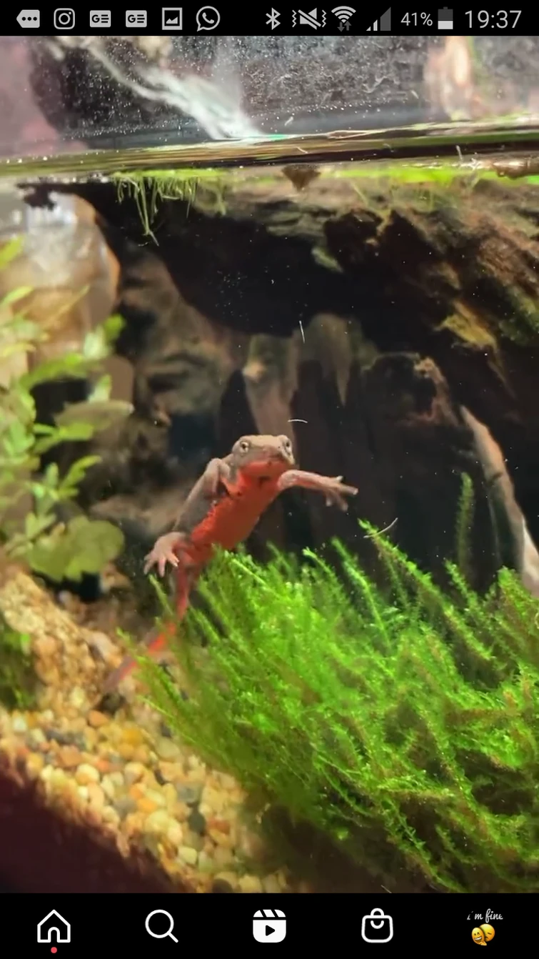 i found Turgeon in real live | Fandom