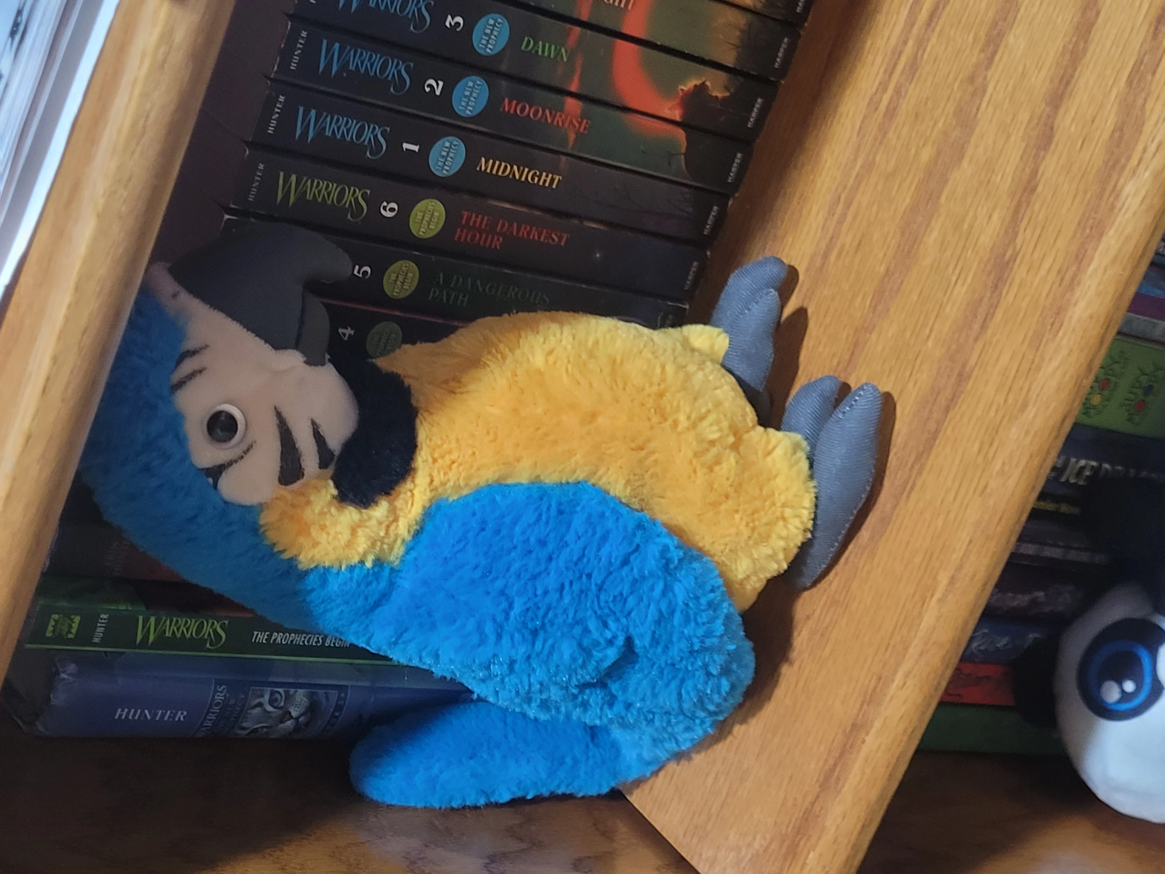 Fav PLATONIC crackships | Fandom