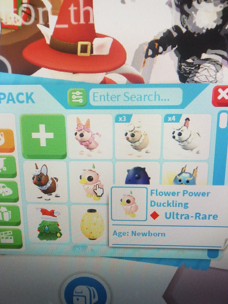 Discuss Everything About Adopt Me! Wiki | Fandom