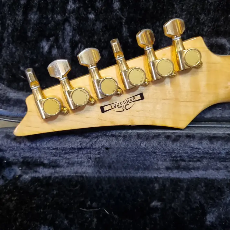 Help with an Ibanez | Fandom